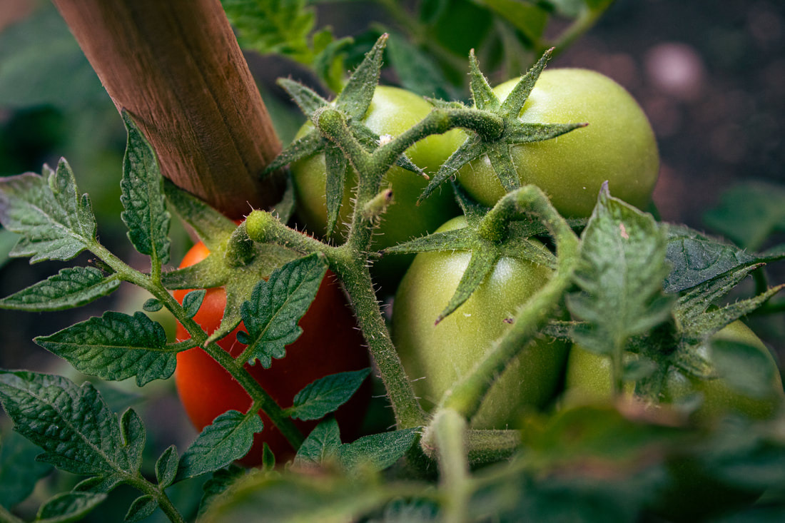 Meals | Services | Exodus Place - Transitional Housing GR, MI